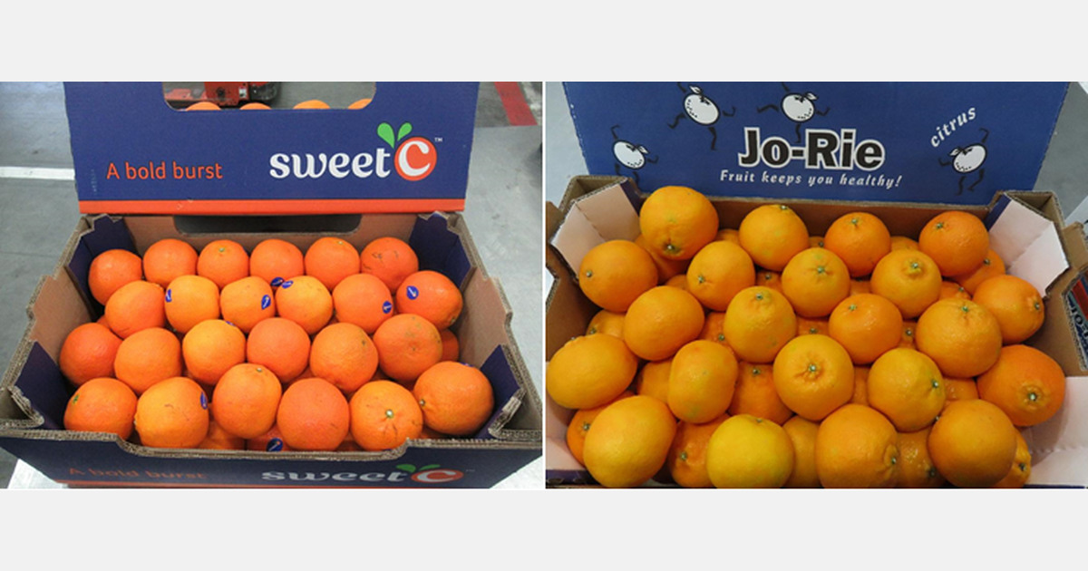 "Mandarin prices plummet, lemon market reverses course"