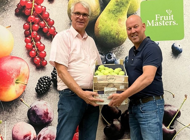 First Yellow Transparent apples available at FruitMasters
