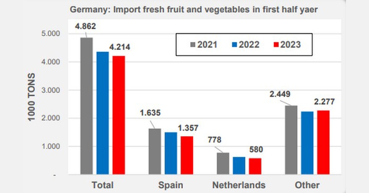 German fresh fruit and vegetable imports down again in 2023's first half