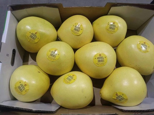 First sustainably packaged pomelo shipment of the year sent to Europe