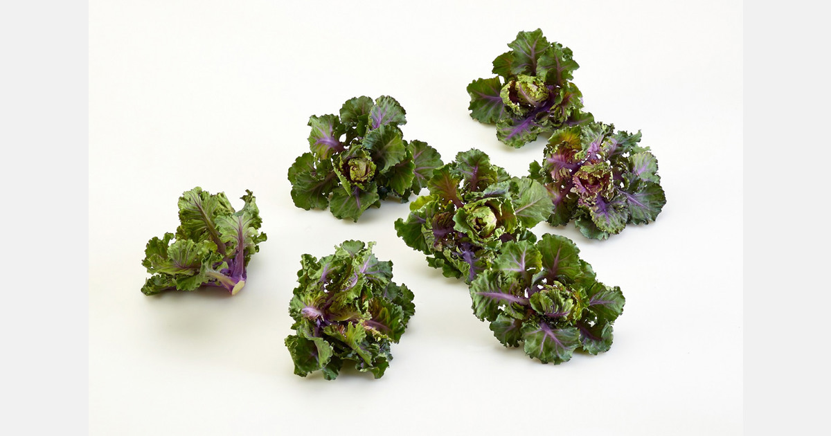 "Sometimes it takes years to introduce a product, but the power of ...