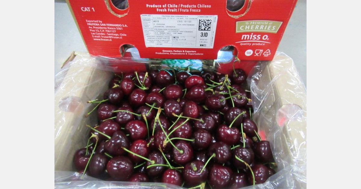 "Chilean cherries always popular on the specialty market in the run-up ...