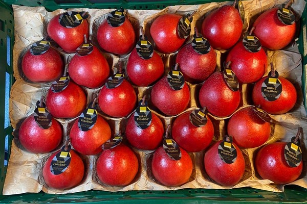 "The PiqaBoo is a new pear, but actually it's a new type of fruit"