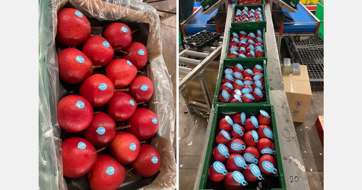 "The PiqaBoo is a new pear, but actually it's a new type of fruit"