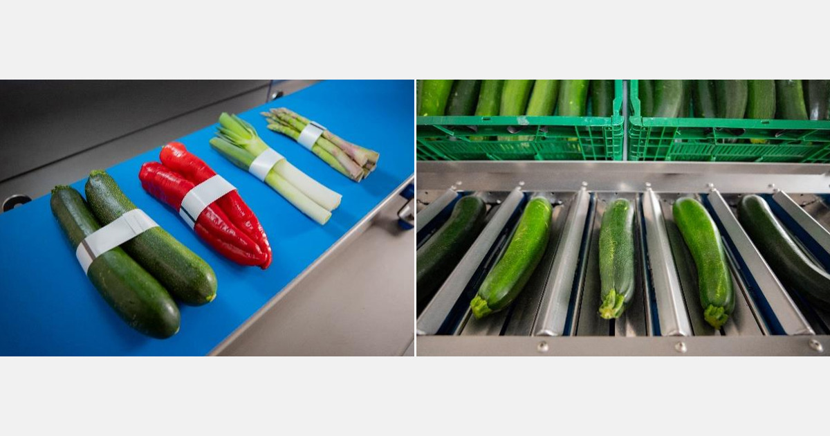 New machine automates weighing and banding