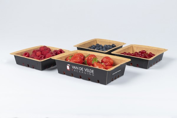 New folding and solid cardboard packaging solutions at Fruit Logistica