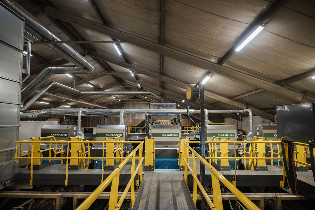 "Optical sorting optimizes the sorting process"