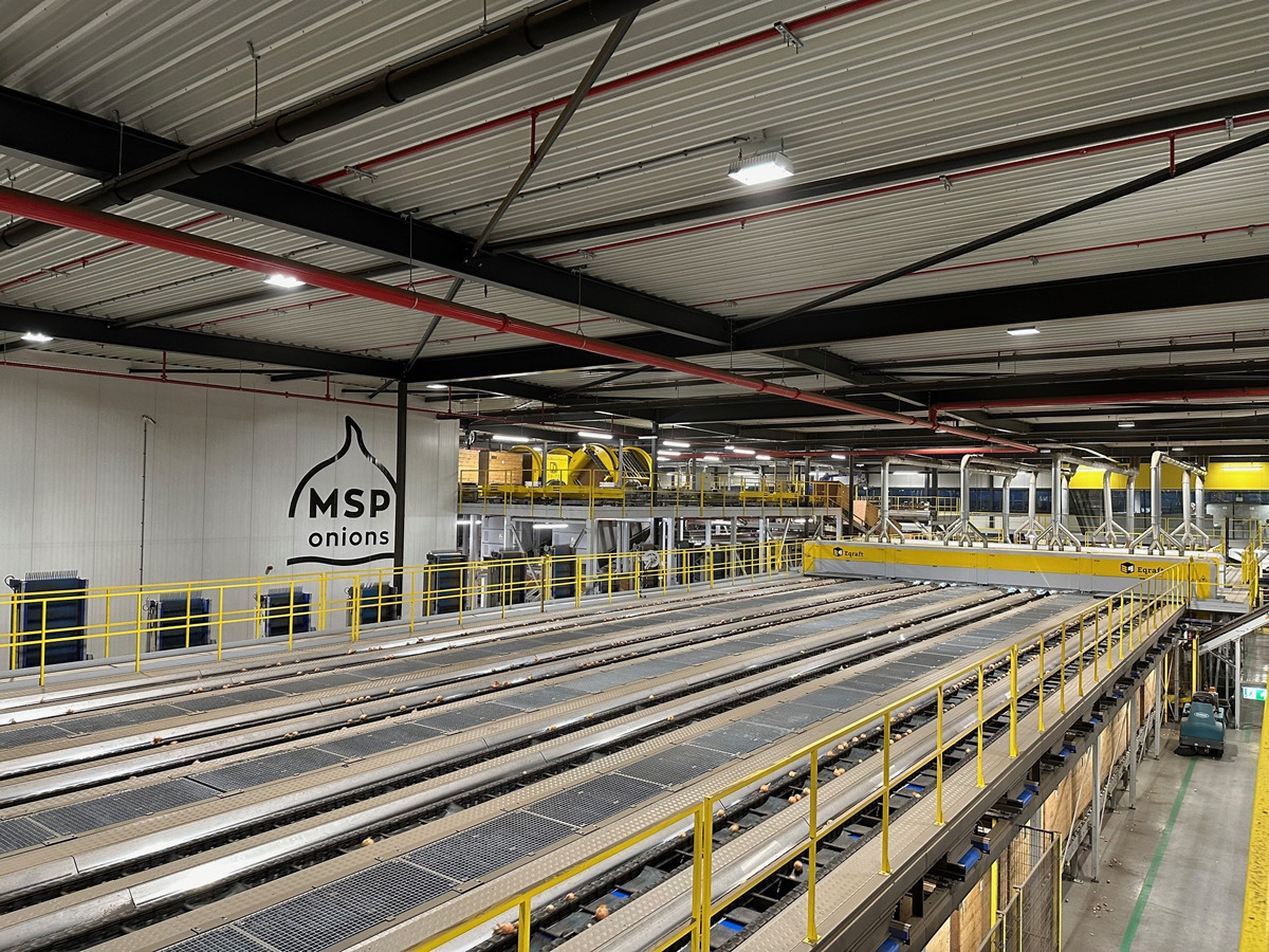 "Differences in onion quality are confusing for end customers, and the ...