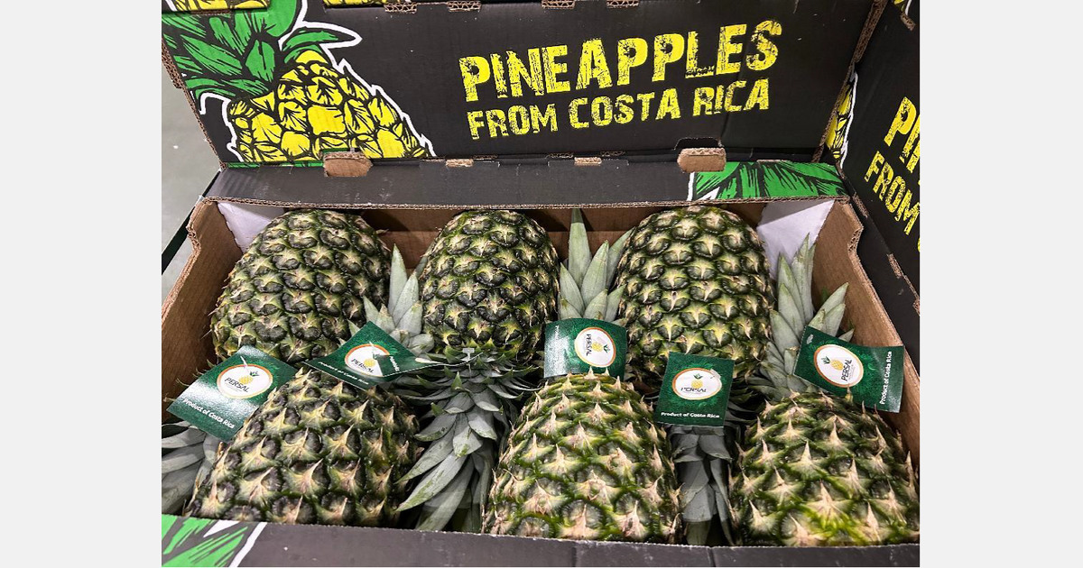 "Crownless pineapples fantastic solution to save space on air freight"