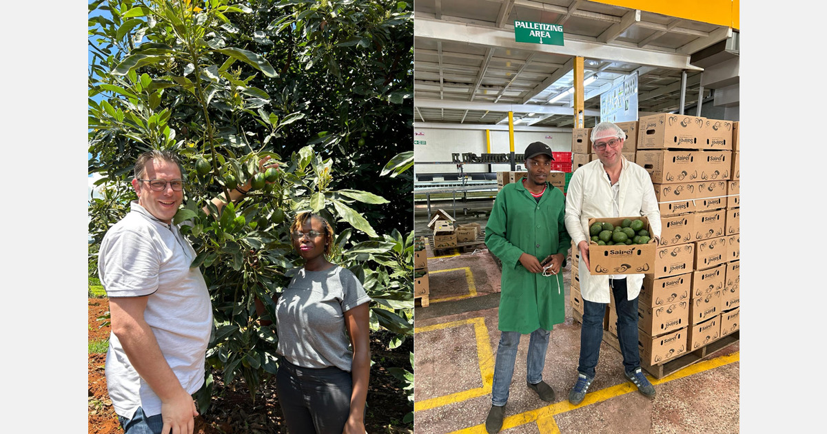 "Rwanda has significant potential as an avocado producer"