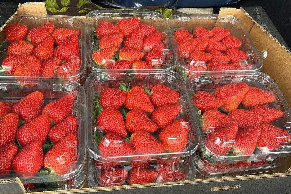 "Very good Spanish strawberry season expected to continue"
