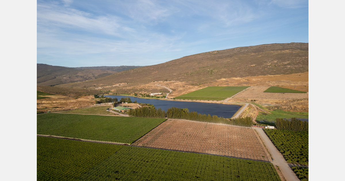 Origin Fruit Direct now 'Origin Fruit Group'