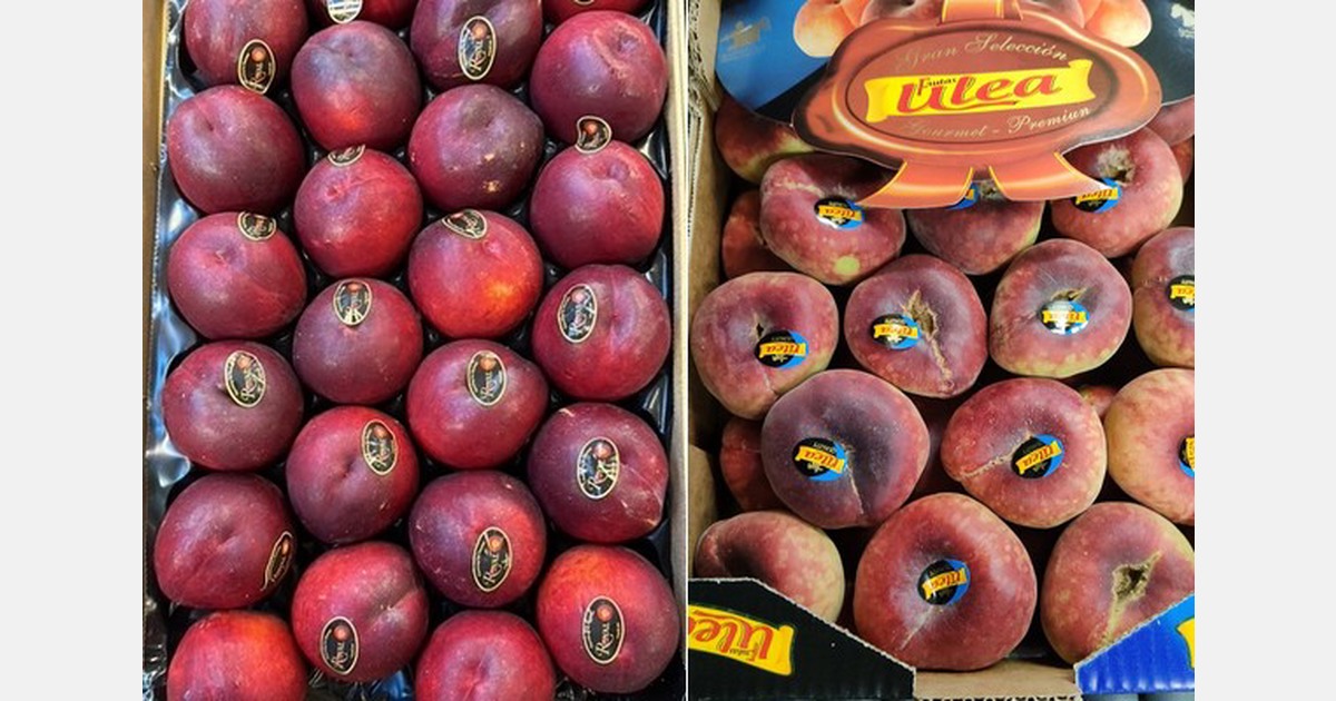 "Desire for new products and good weather boosts demand for Spanish ...