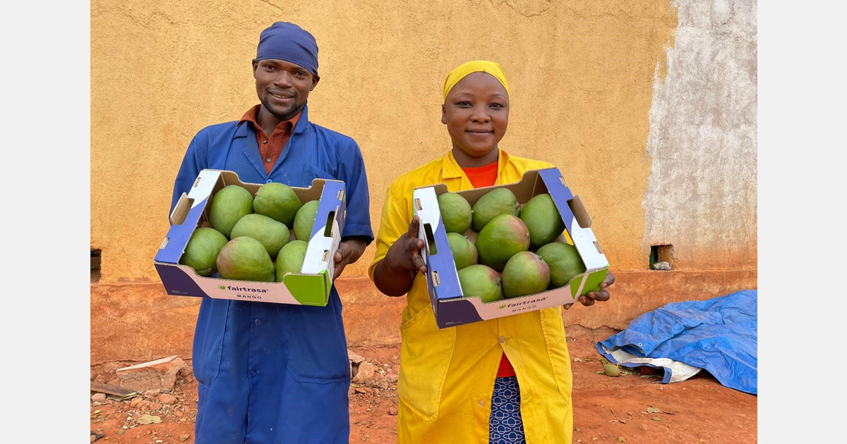 "Market eager to receive West African organic mangoes after challenging ...