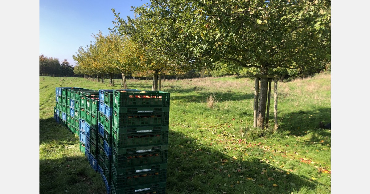 "Top fruit from high-stem orchards provides a unique flavor that ...