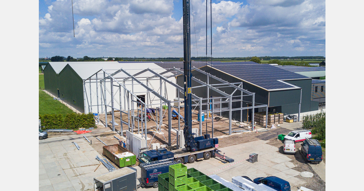 "The first cold stores will be chilled next week for the new fruit harvest"