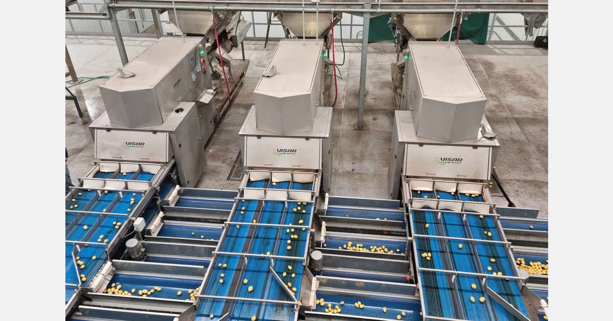 "We're setting up a new optical sorter for the seed potato market"