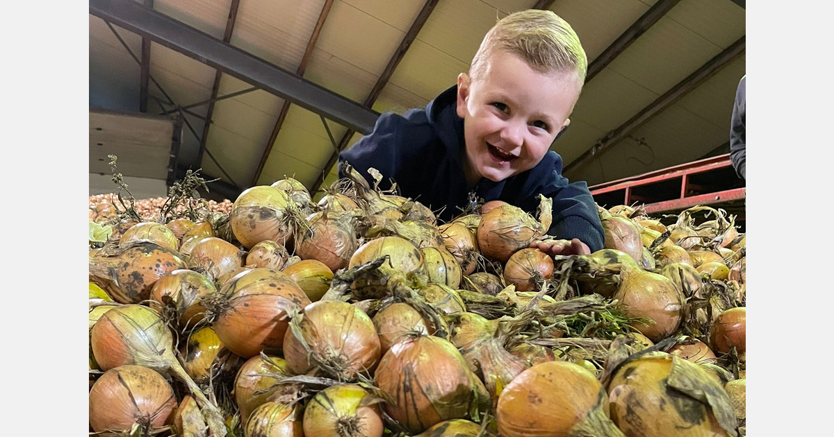 "Last year, everyone was optimistic during the onion season, and things ...