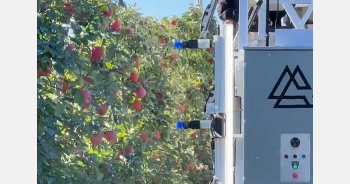 Apple-picking robot in action