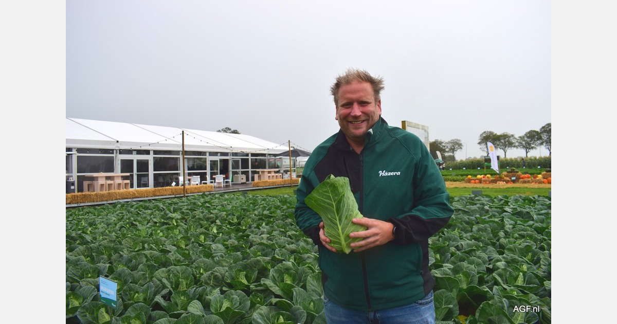 Hard onions and new pointed cabbage during International Open Days Hazera