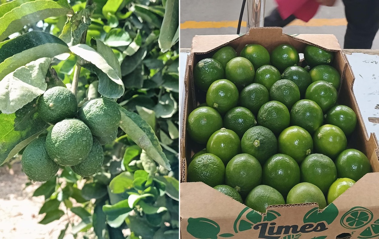With our own lime production in Peru, we aim to establish a foothold in ...