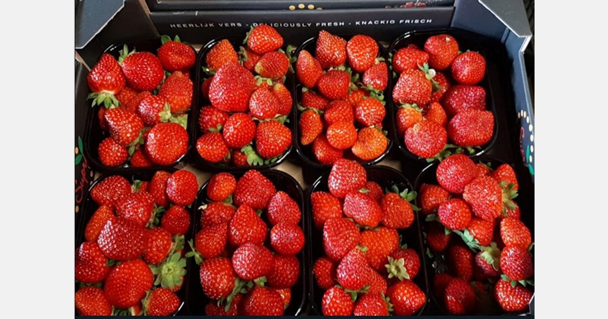 "Joining forces is essential to maintain high service levels"