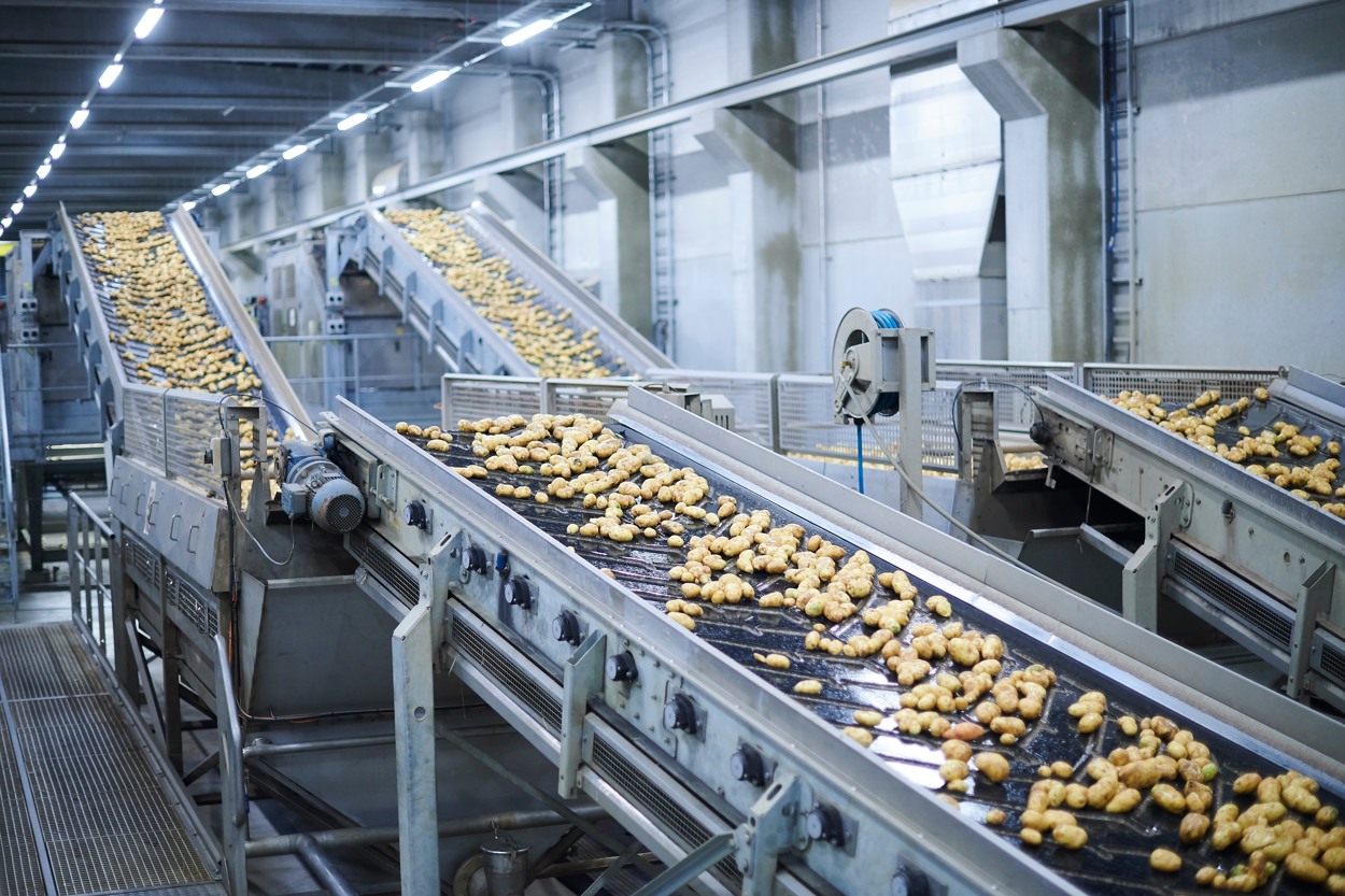 From contract vegetable packer to global frozen potato product player