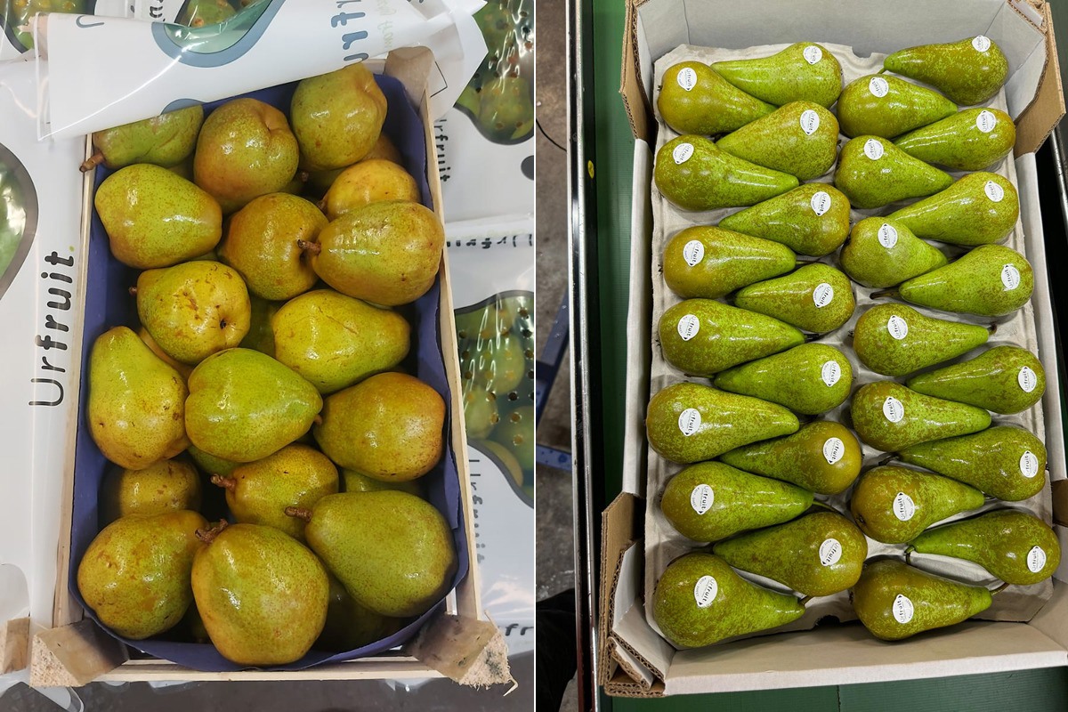 "Selling pears with the brakes on"