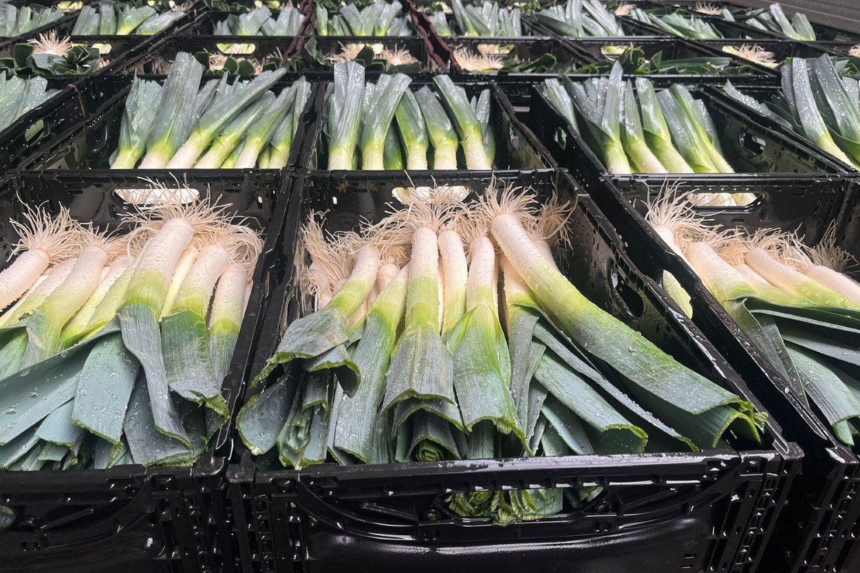 "With Poland and France joining Spain in the leek market, prices are ...
