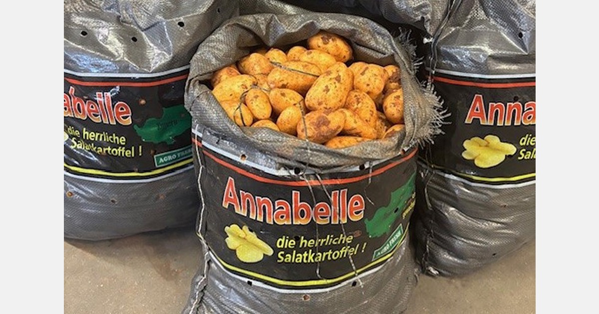 "First Annabel potatoes from Cyprus well received in German market"