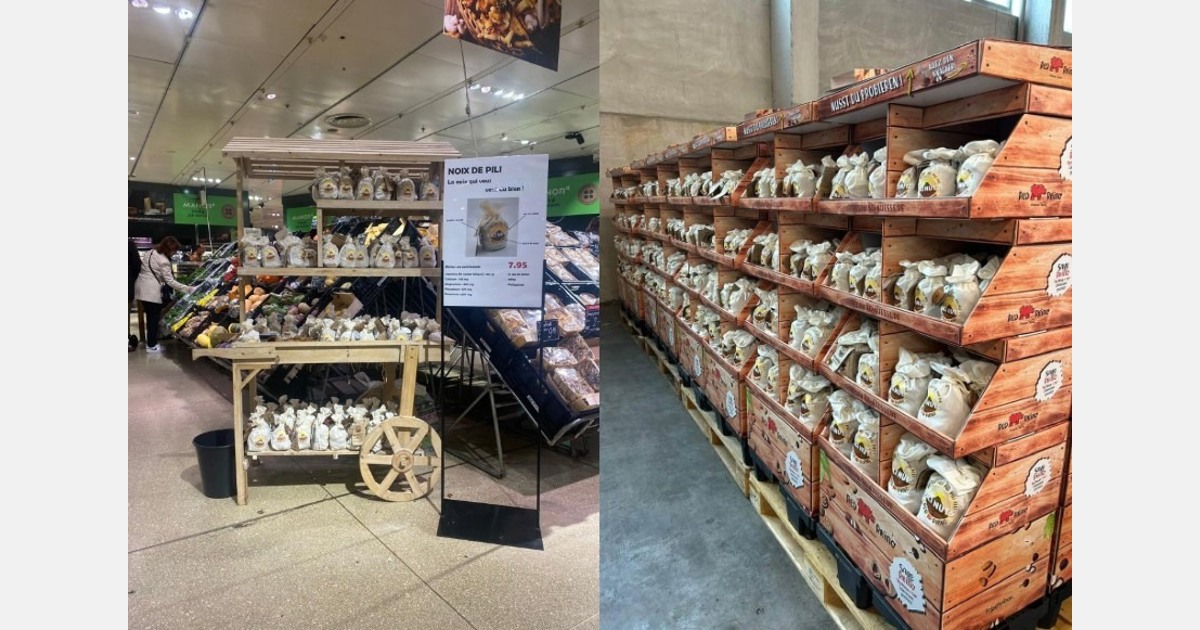 "Surprising demand for pili nuts as parrot food"