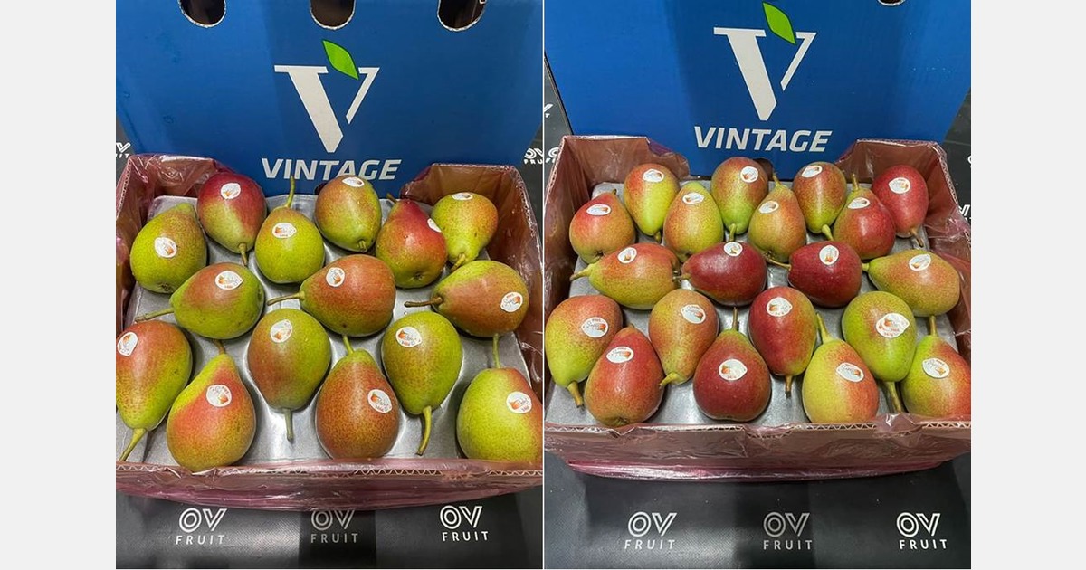 "Blush pears particularly popular among ethnic consumers"