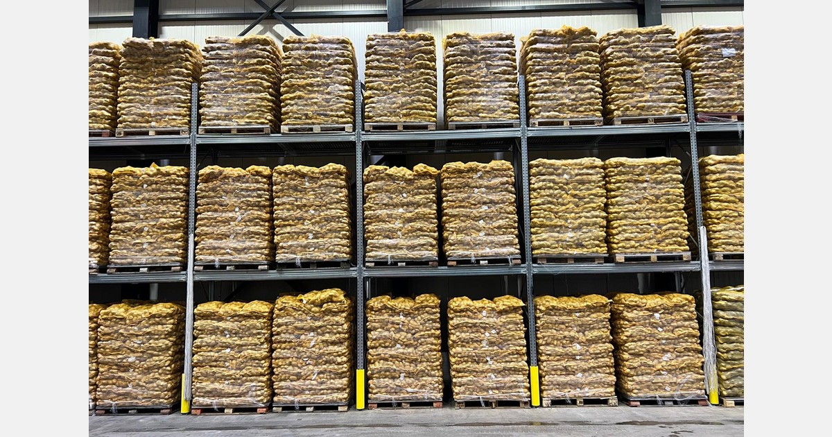 "After two years of sky-high potato prices, market finally stabilises"