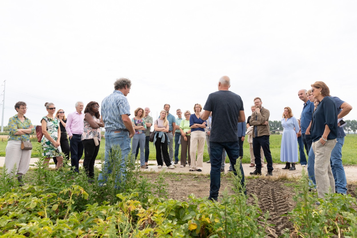 Best fruit and vegetables at the lowest price; can it remain sustainable?