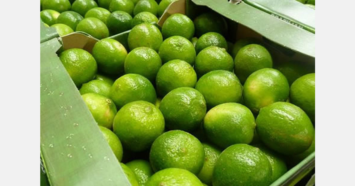 Mexico: Lime prices plummets