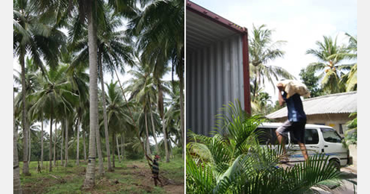 "Demand for coconuts from Southern Europe increases"