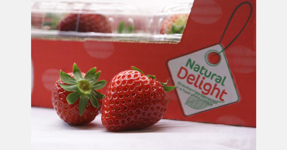 EU: The Greenery and Bayer CropScience cooperate for sustainable Spanish strawberries