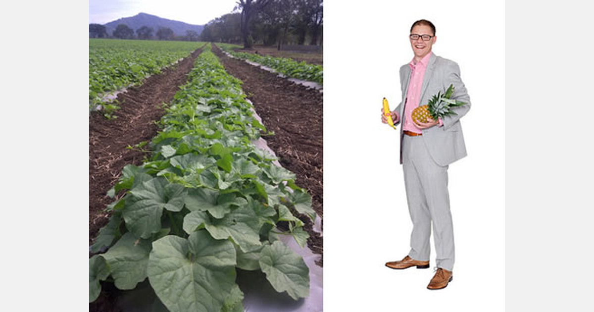 Milestone Fresh ensures overseas fruit and vegetable transport