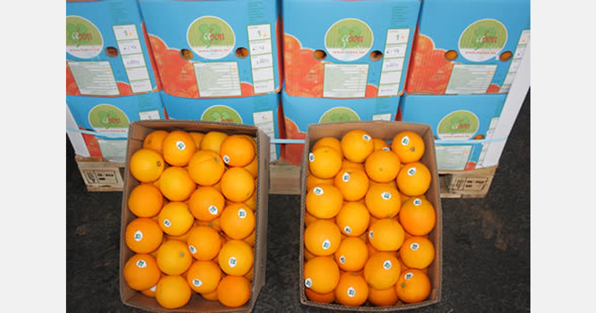 "Real volumes South African citrus starting to arrive"
