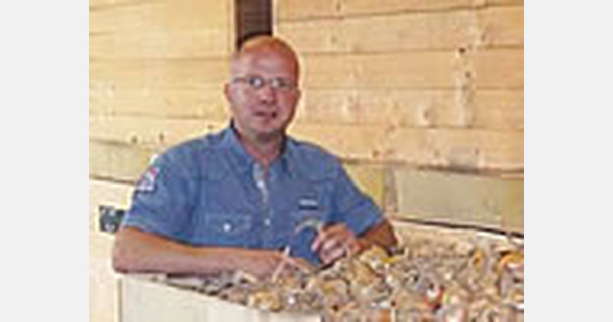 Wouter van der Beek puts optical onion sorting line into use