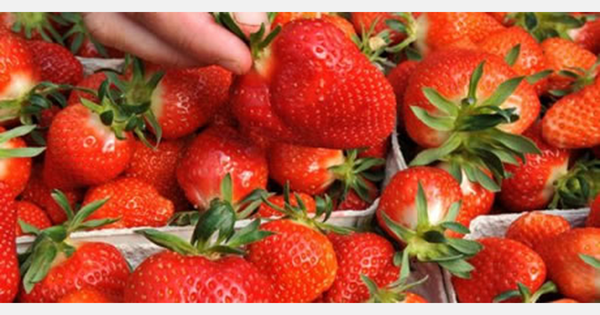 Rewe sold mouldy strawberries