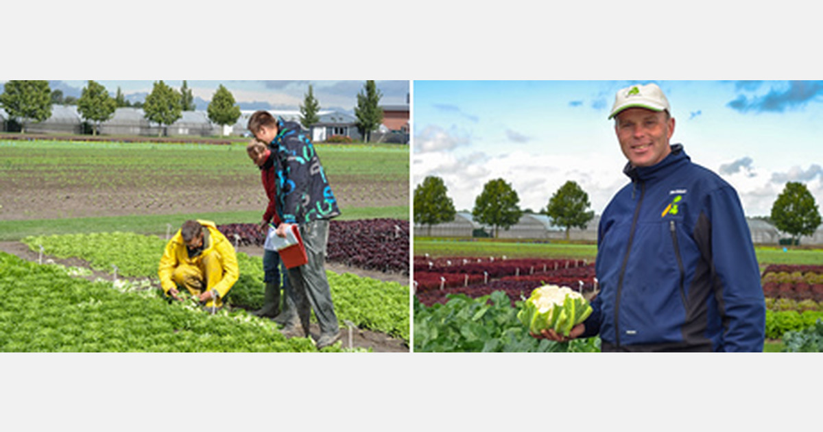 Open days at Rijk Zwaan rich with variety