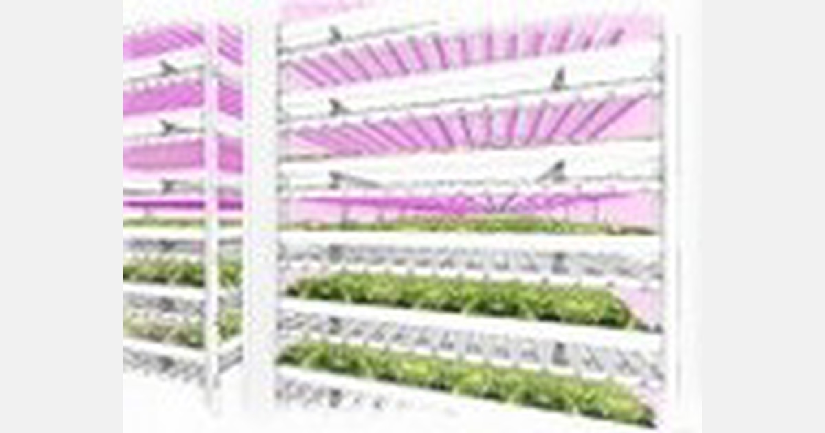 Netherland: Certhon and WPS Horti Systems work at a more layer ...