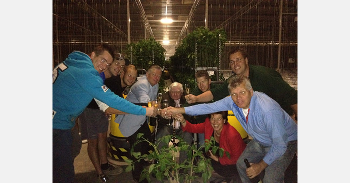 First Red Star tomatoes in Ultra Clima greenhouse