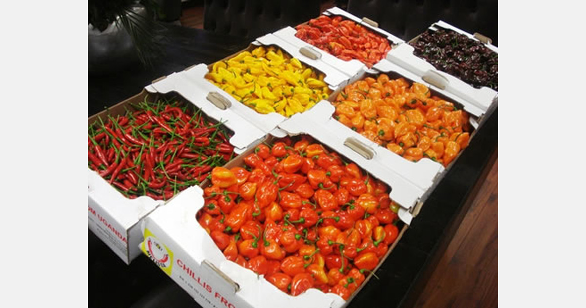 Egyptian season kicks off at Kohl Fruit Trading