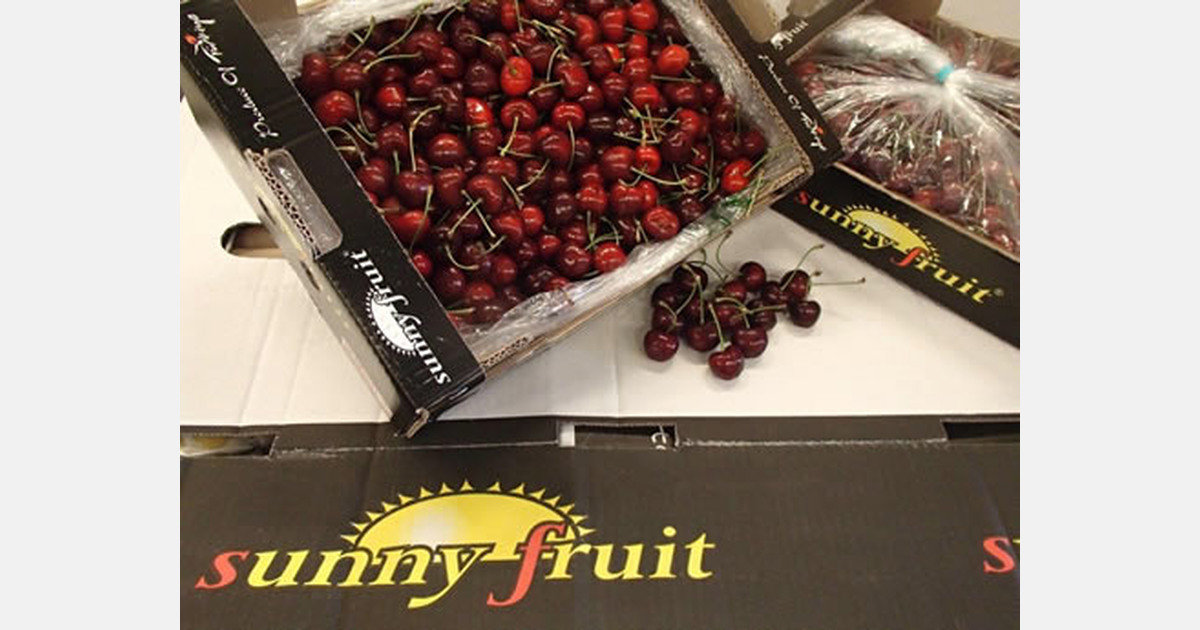 Europe: First Turkish cherries arrived