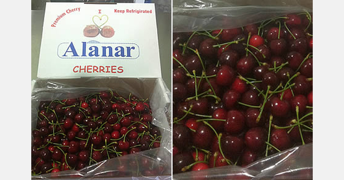 Next week Turkish cherries at Van Dijk Foods