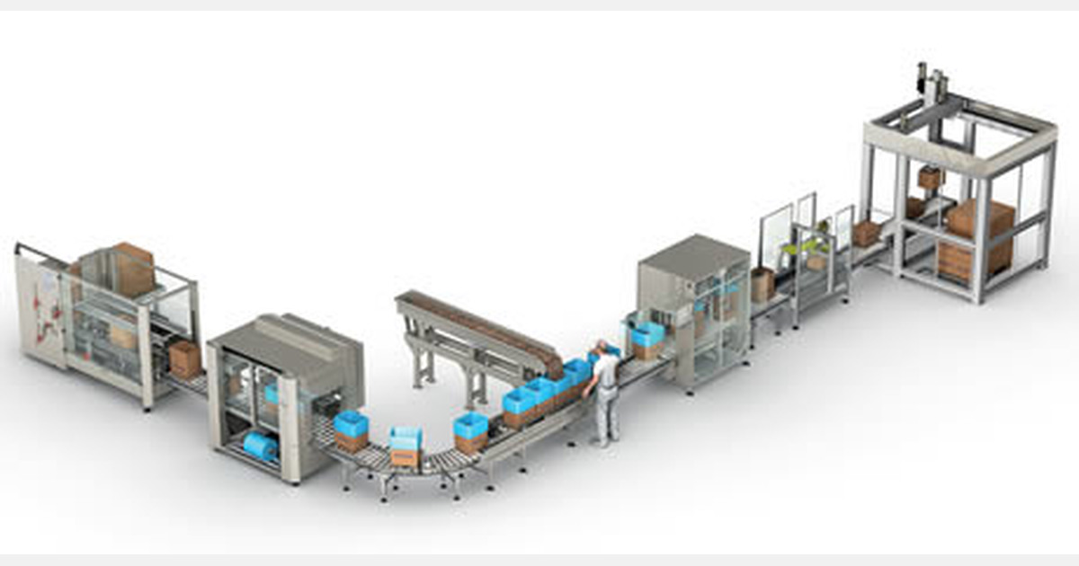 Pattyn Packing Lines offer complete solutions for bulk packings