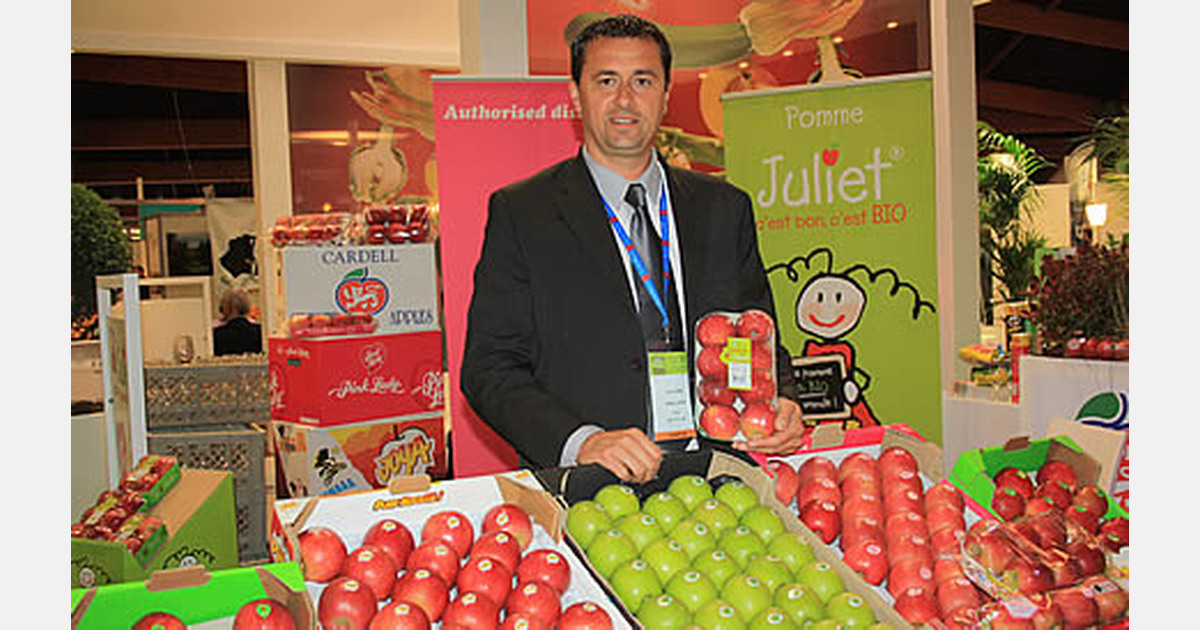 Cardell Export sees growing interest in organic apple Juliet