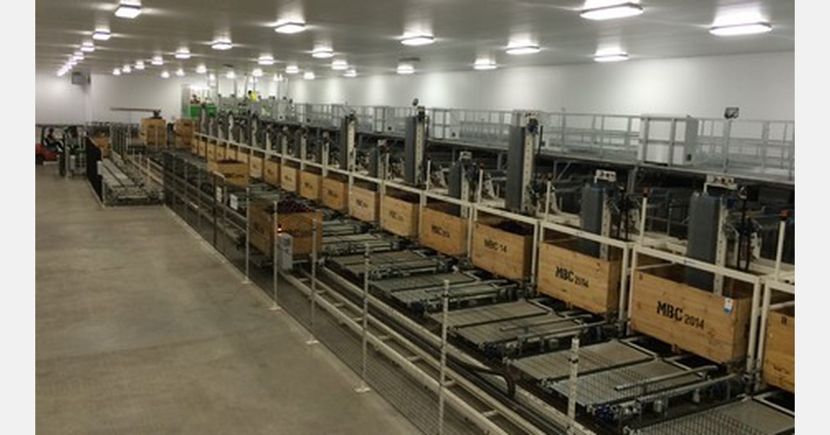 Optical sorting machine runs over 30 tons of onions per hour
